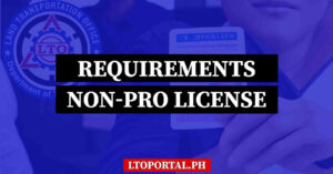 What are the Requirements for Non-Professional Driver’s License ...