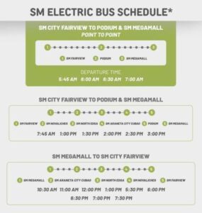 Electric Bus Routes in Metro Manila