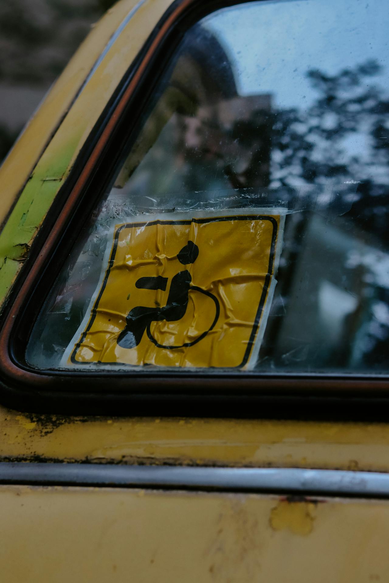 How to Get Special Disability / Medical Condition Codes on LTO Driver’s ...